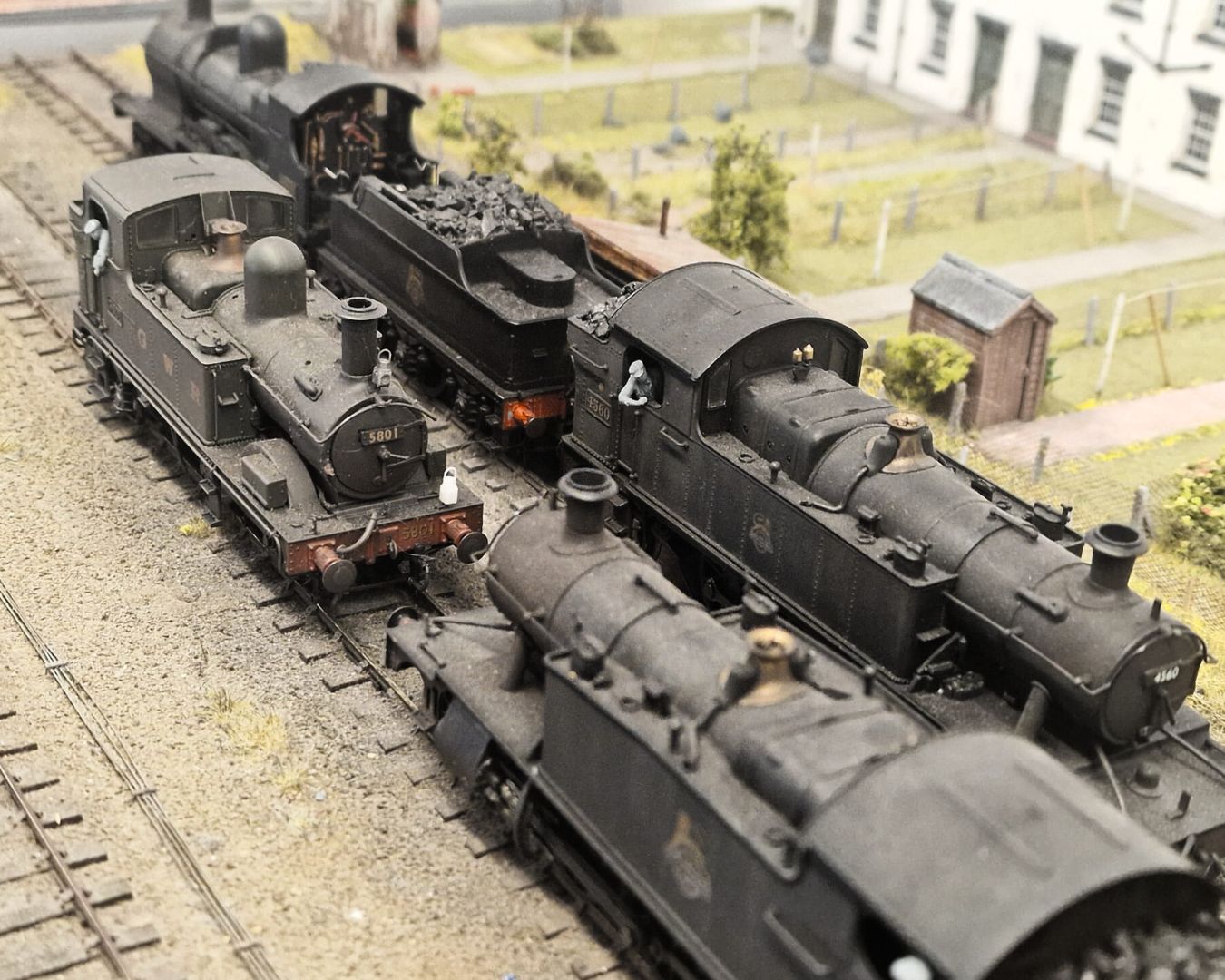Steam Crew Value Packs – Modelu